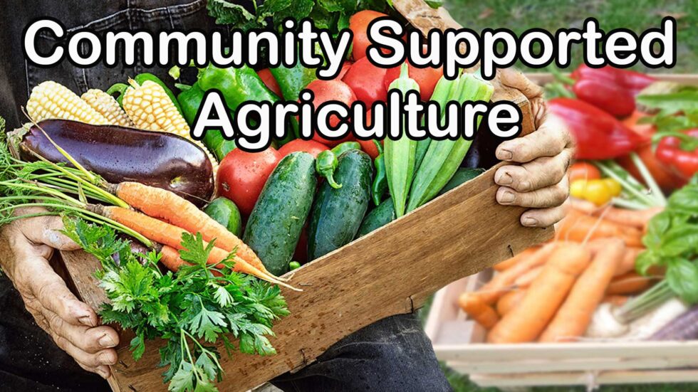 Community Supported Agriculture | Middle World Farms
