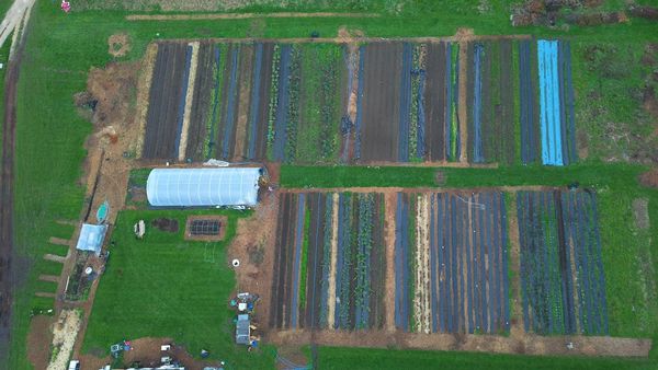 Farm | Middle World Farms